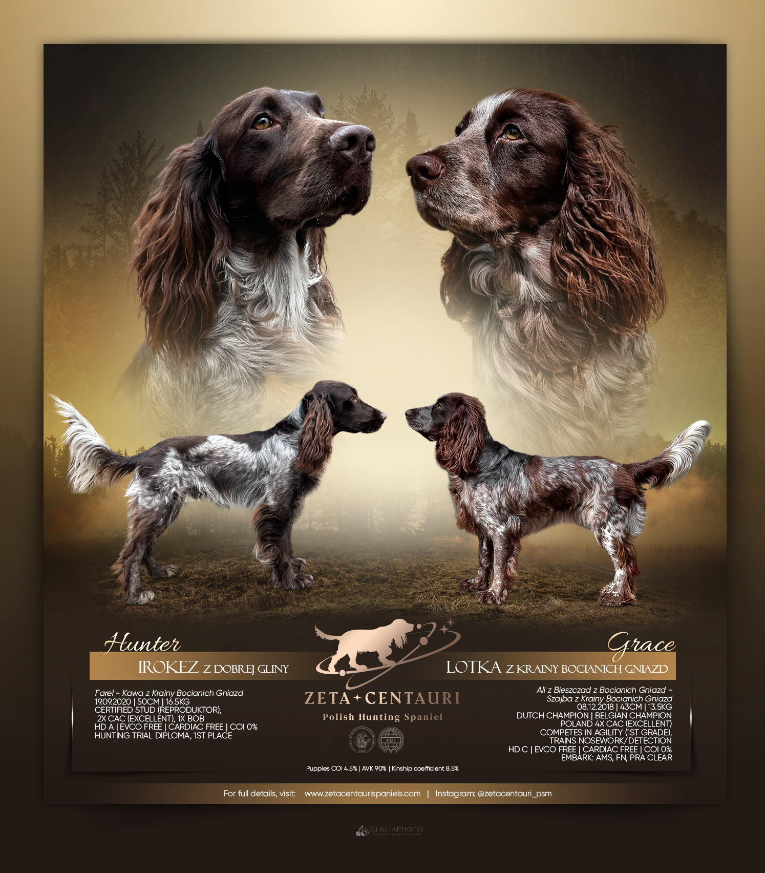 Kennel de Zeta Centauri – BusyDoggie