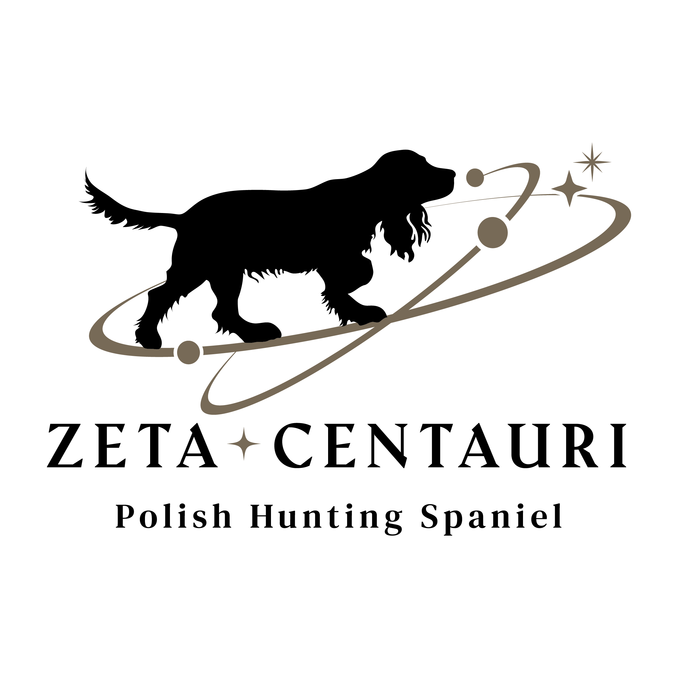 Kennel de Zeta Centauri – BusyDoggie